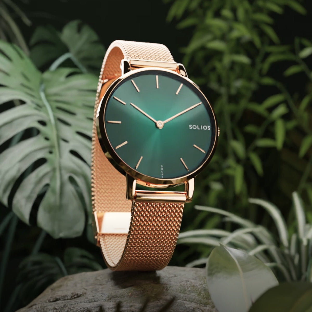 Introducing the Mini Rainforest | Solios Watches
