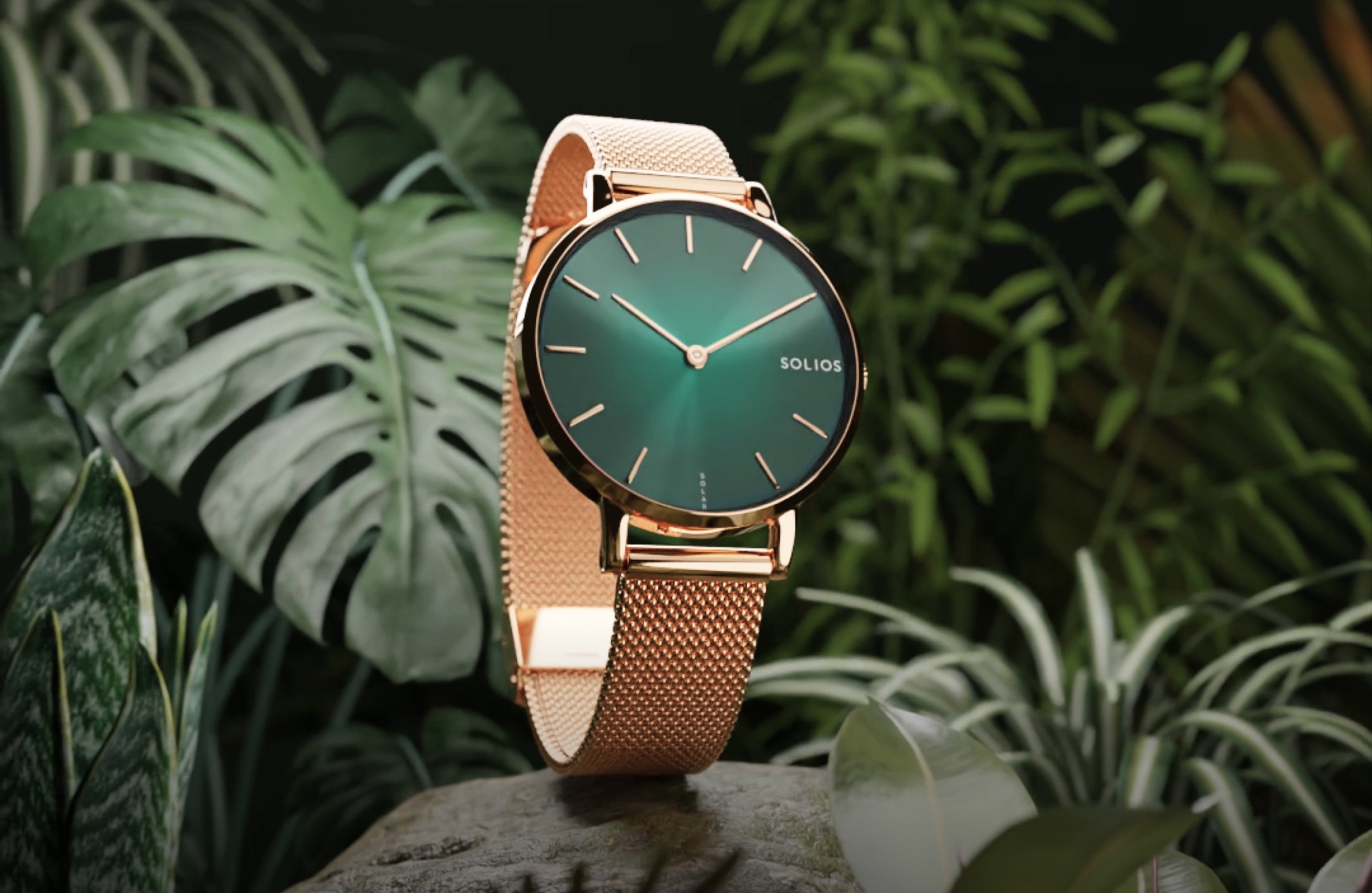 Introducing the Mini Rainforest | Solios Watches